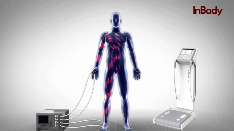 Bioimpedância - O Que é e Como Funciona a Bioimpedância | ABCtudo ...